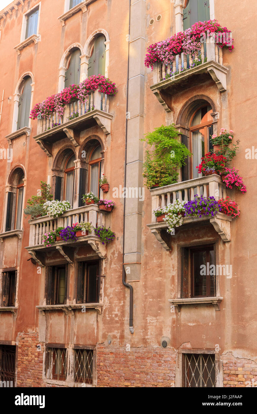 Flower decorating Windows. Venice. Italy Stock Photo - Alamy