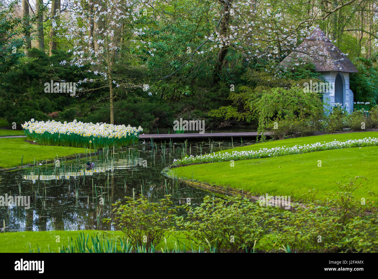Garden pond in spring Stock Photo - Alamy