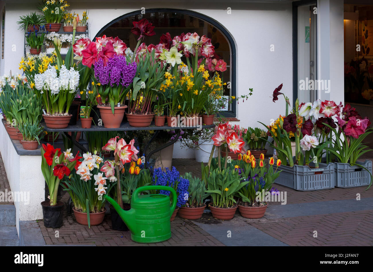 Flower shop display with potted spring flowers Stock Photo - Alamy