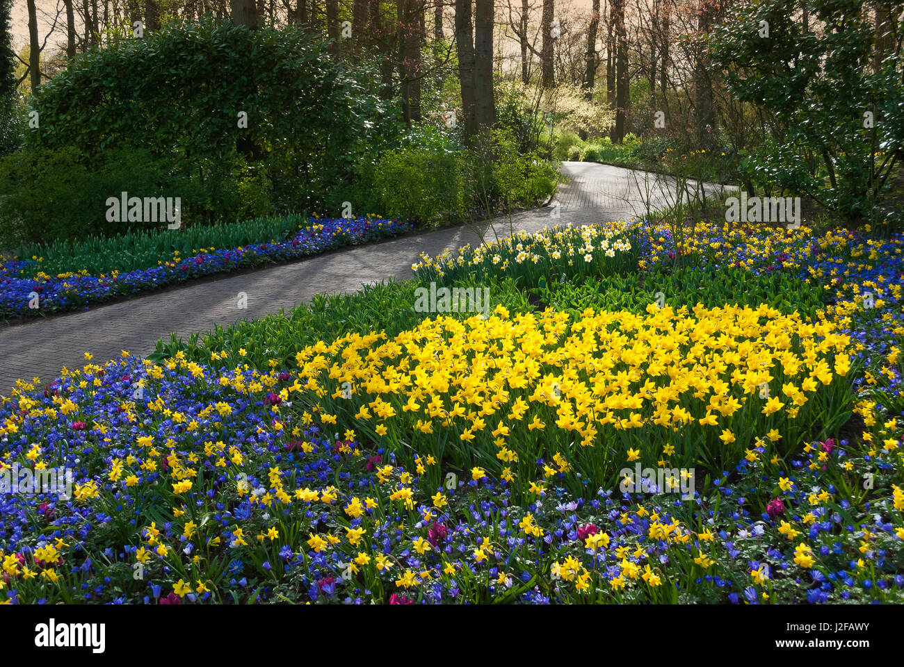 Spring garden with wooded path Stock Photo - Alamy