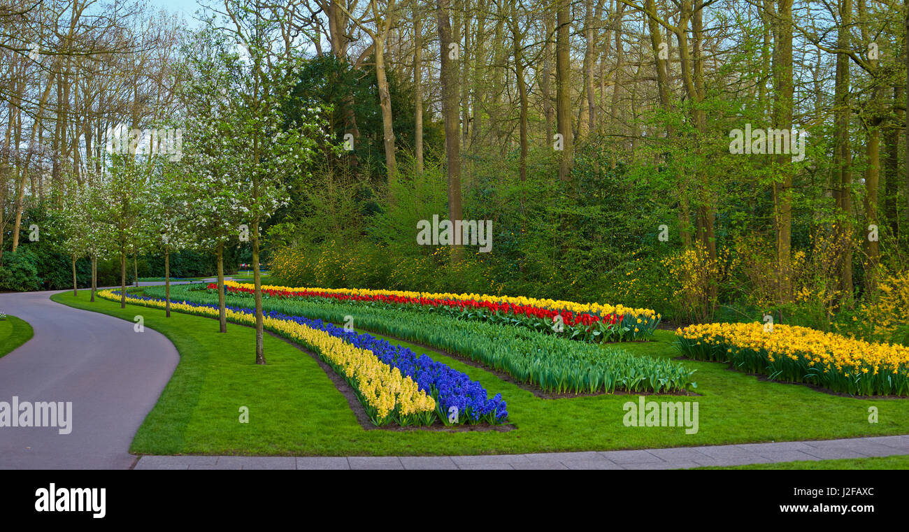 Formal garden spring flowerbeds Stock Photo - Alamy