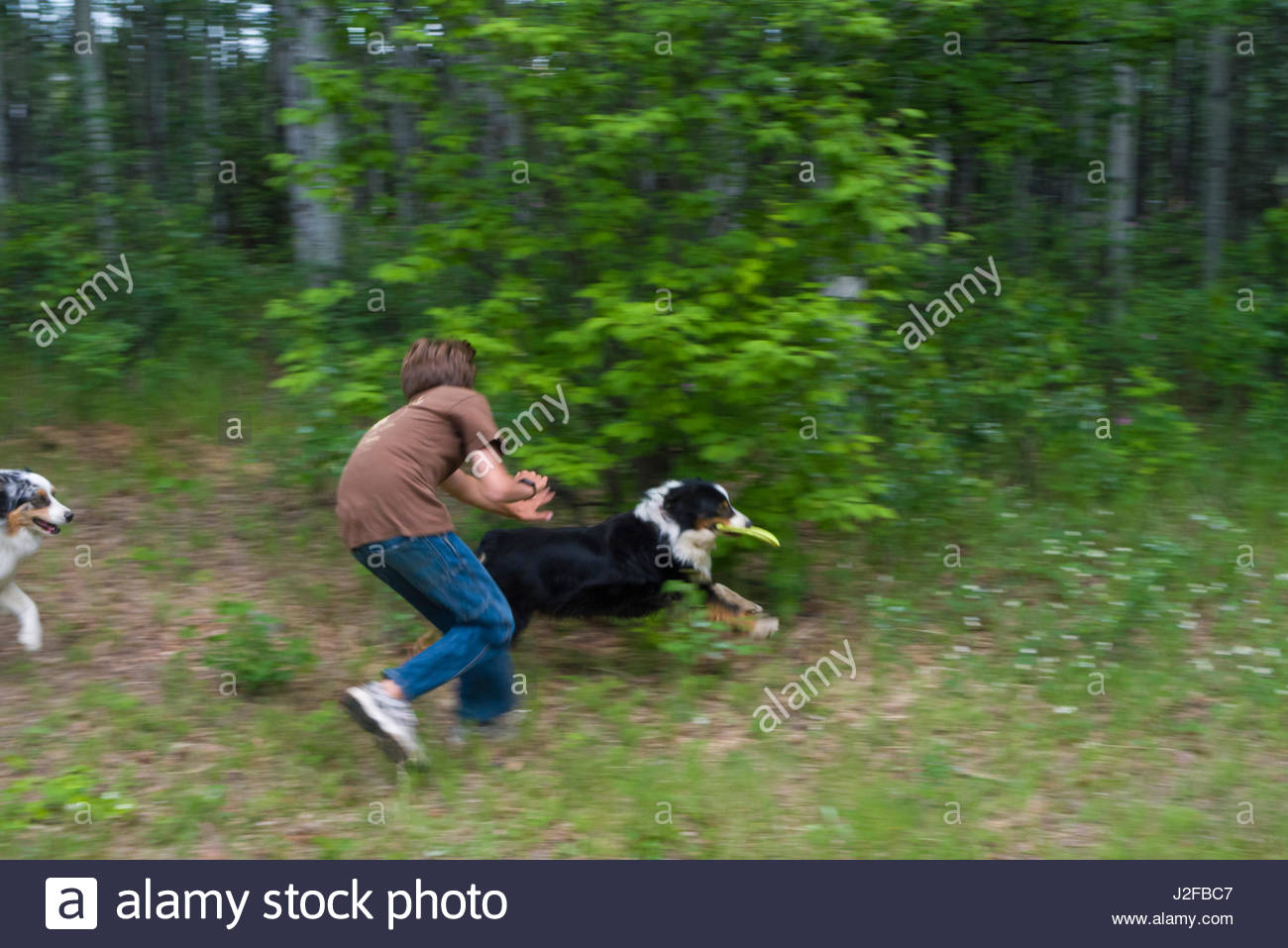 Dog Chasing Boy Stock Photos & Dog Chasing Boy Stock Images - Alamy