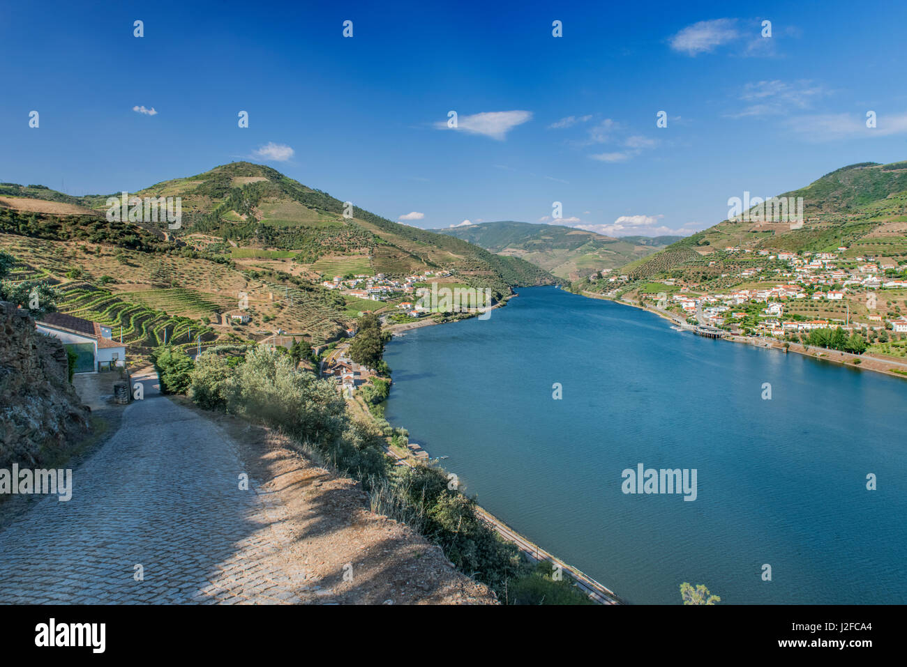 Portugal, Douro Valley, View of Vineyards and Douro River (Large format ...