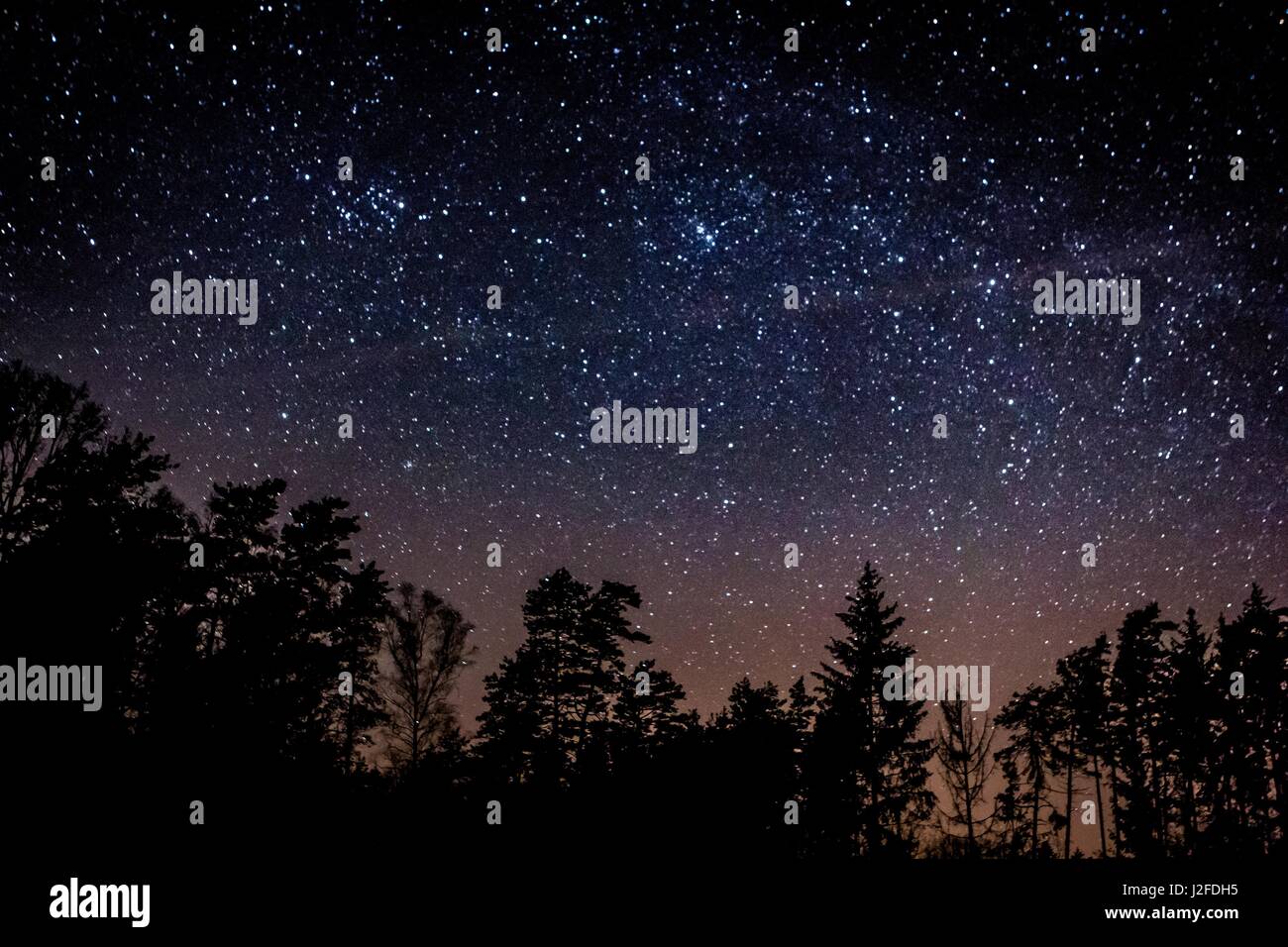 Night sky over rural landscape. Beautiful night starry sky, high ISO ...