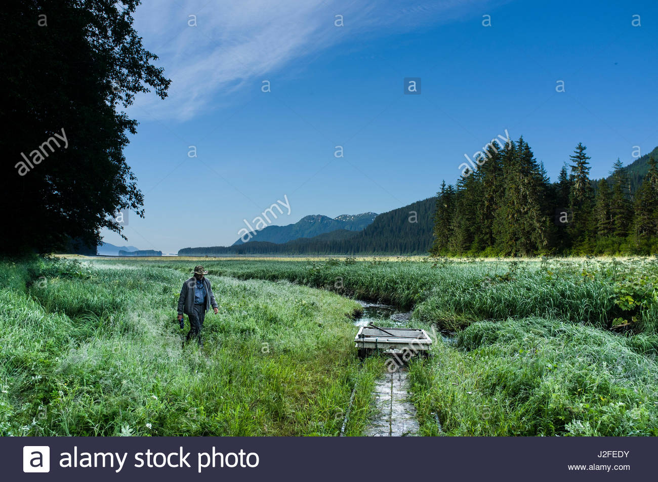Damp Grass Stock Photos & Damp Grass Stock Images - Alamy