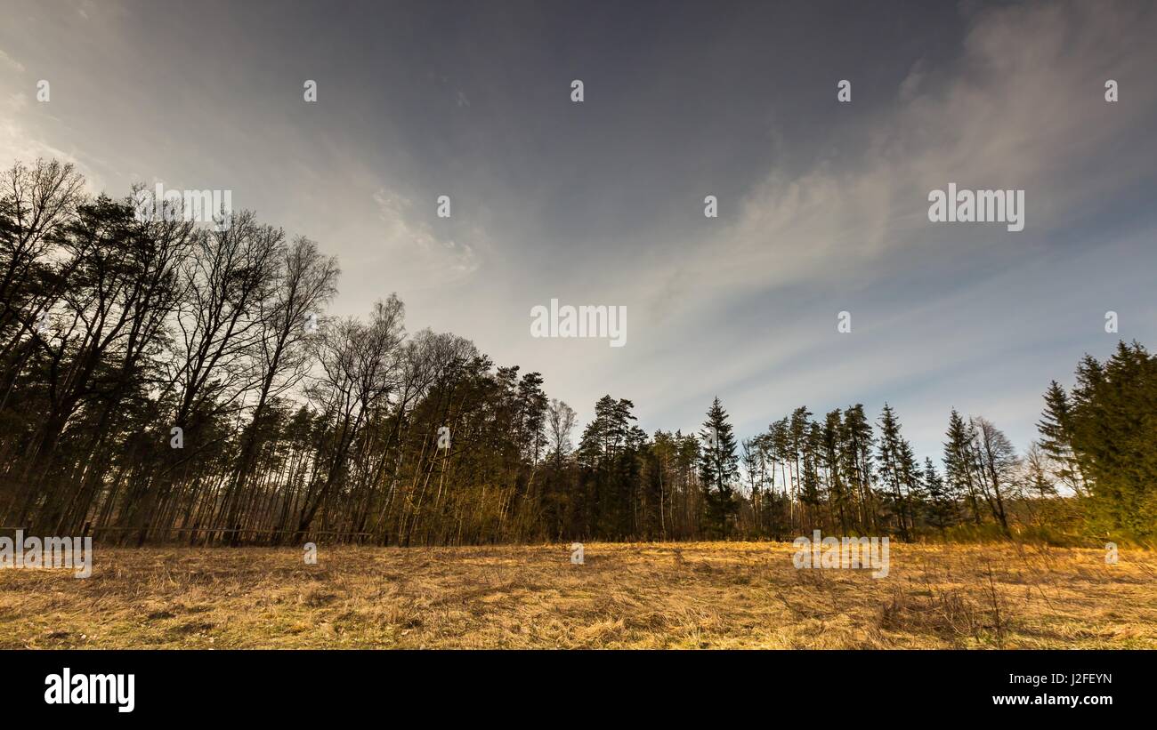 Early spring landscape with sky over forest. Polish early spring ...