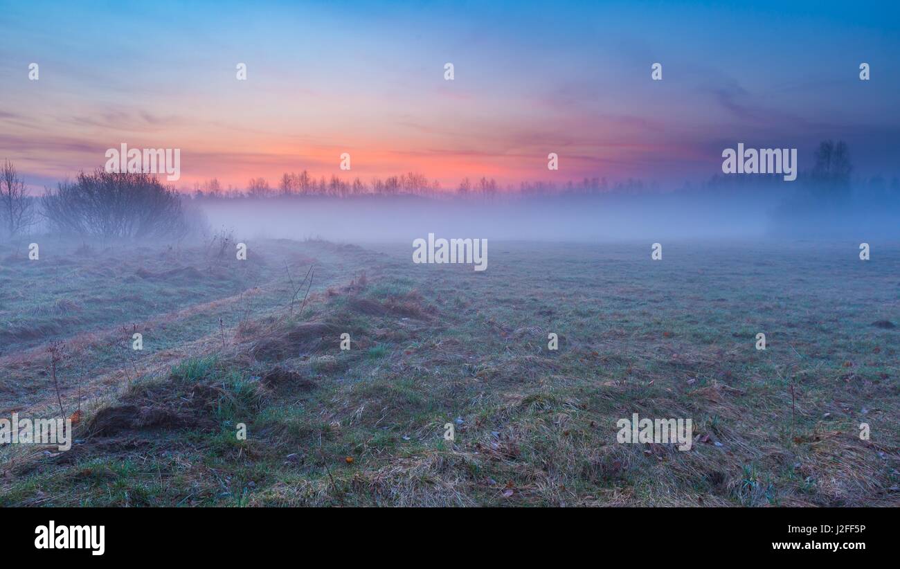Early spring foggy meadow at sunrise. Beautiful polish landscape Stock ...