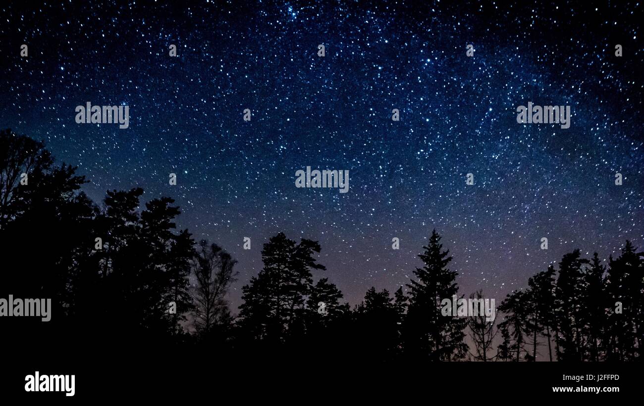 Night sky over rural landscape. Beautiful night starry sky, high ISO ...