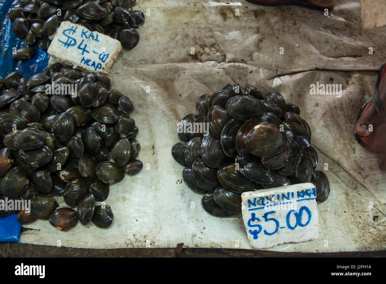 Bivalves for Sale (Kai), Suva Sea Food Market, Suva, Viti Levu, Fiji ...