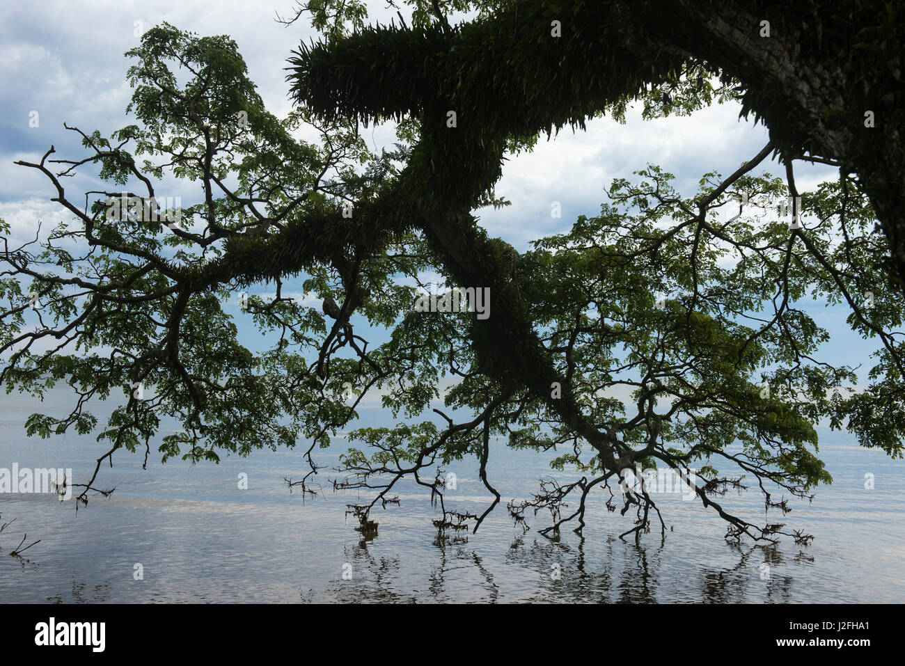 Koro Island Scenic, Lomaviti group, Fiji Stock Photo - Alamy