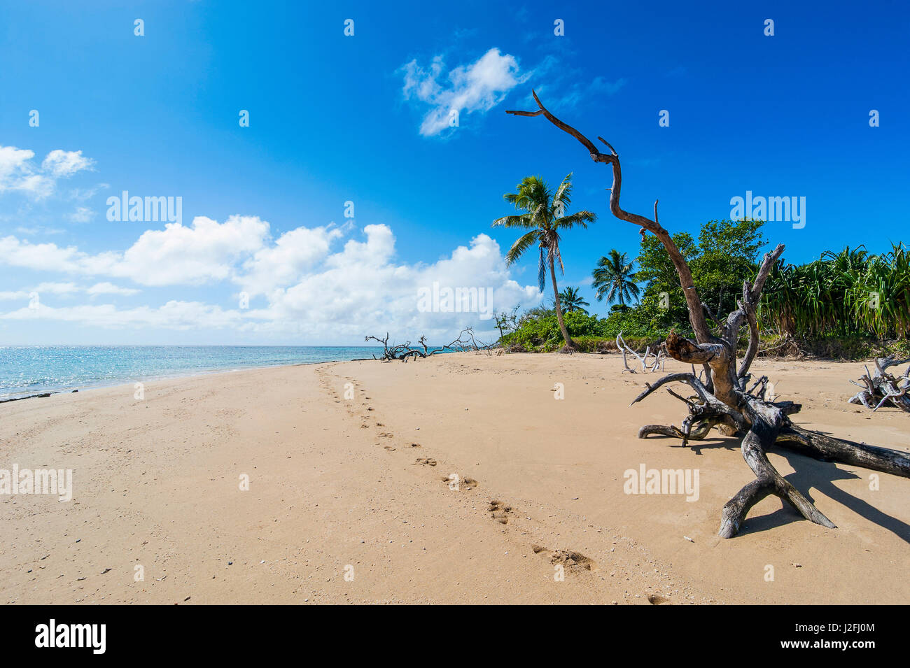 Little island with a white sand beach in Ha'apai, Tonga, South Pacific ...