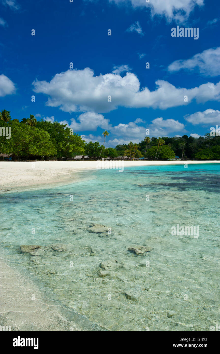 Turquoise water and white sand at the Champagne Beach, Espiritu Santo ...
