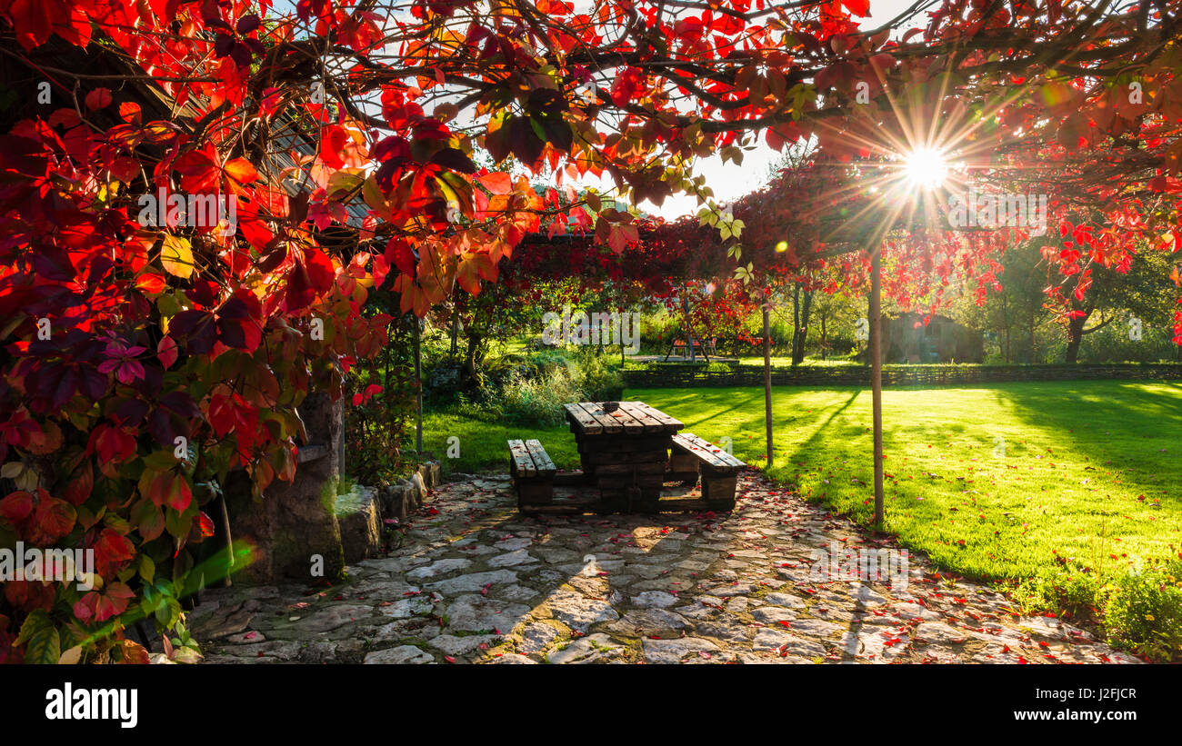 Sunlight through autumn grape vines, Korana Village, Plitvice Lakes ...