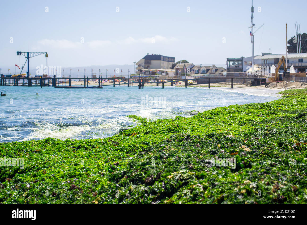 Wide view of seashore in Algarrobo Chile Stock Photo - Alamy