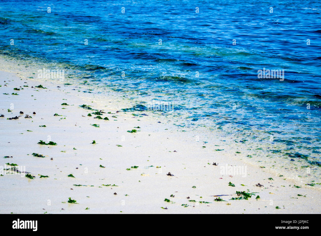 Wide view of seashore in Algarrobo Chile Stock Photo - Alamy