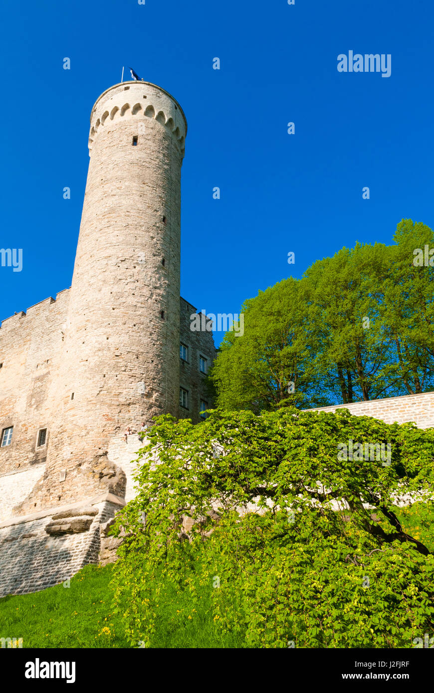 The Pikk Hermann Tower, part of the Toompea Castle, UNESCO World ...