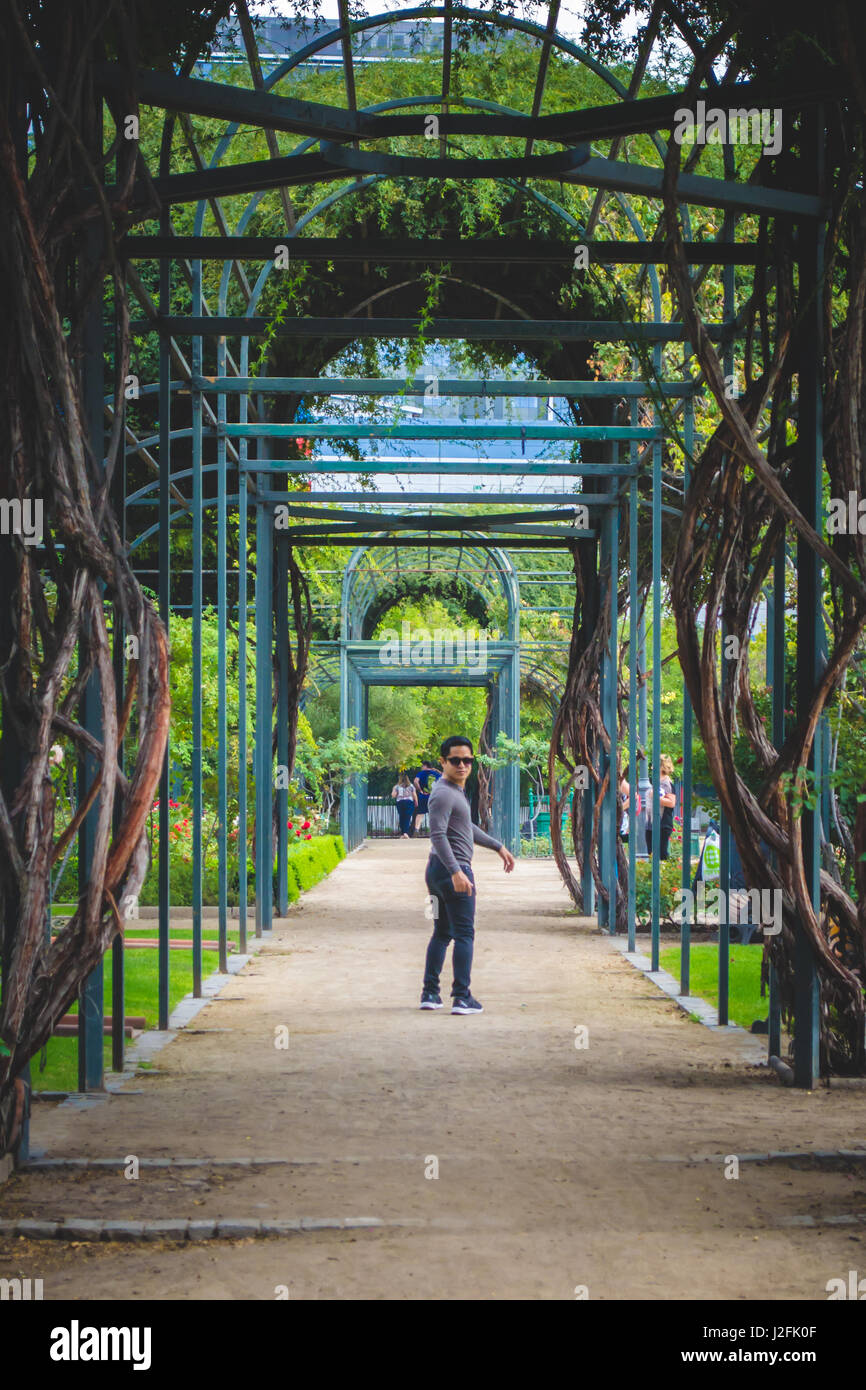 Man in the maze hi-res stock photography and images - Alamy