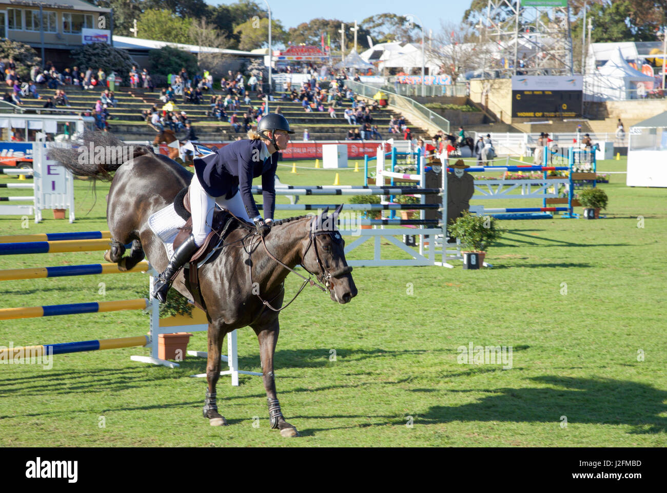Horse jumping competition crowd hi-res stock photography and images - Alamy