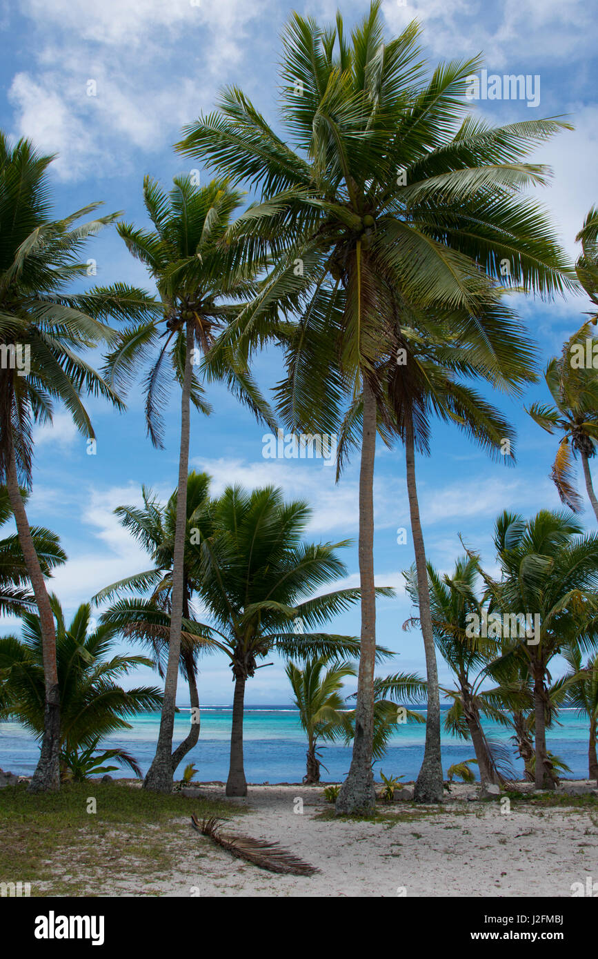 Fiji, Southern Lau Group, Island of Fulanga. Scenic tropical coastline ...