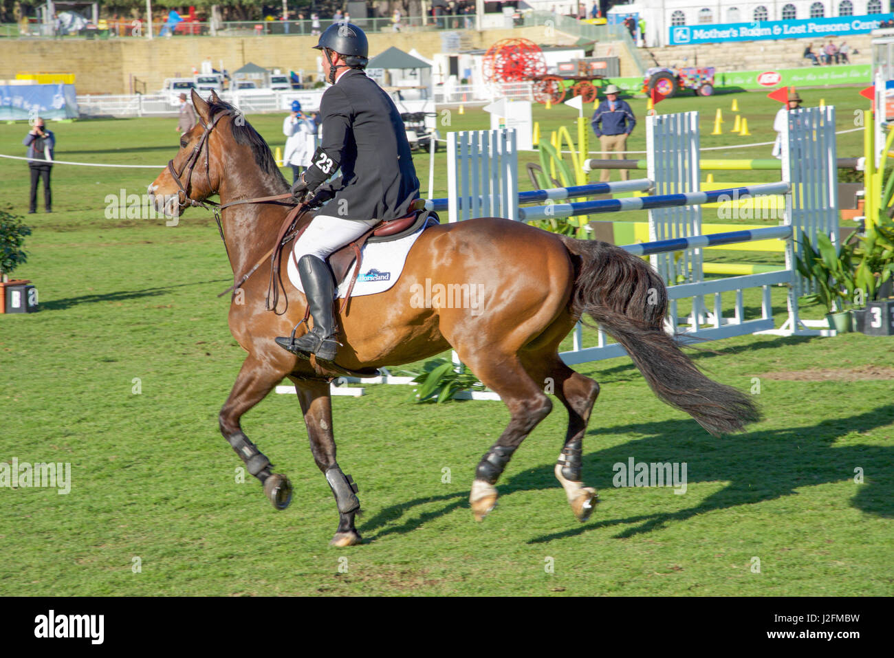 Claremont,WA,Australia-September 25,2016:Horse and rider at show ...