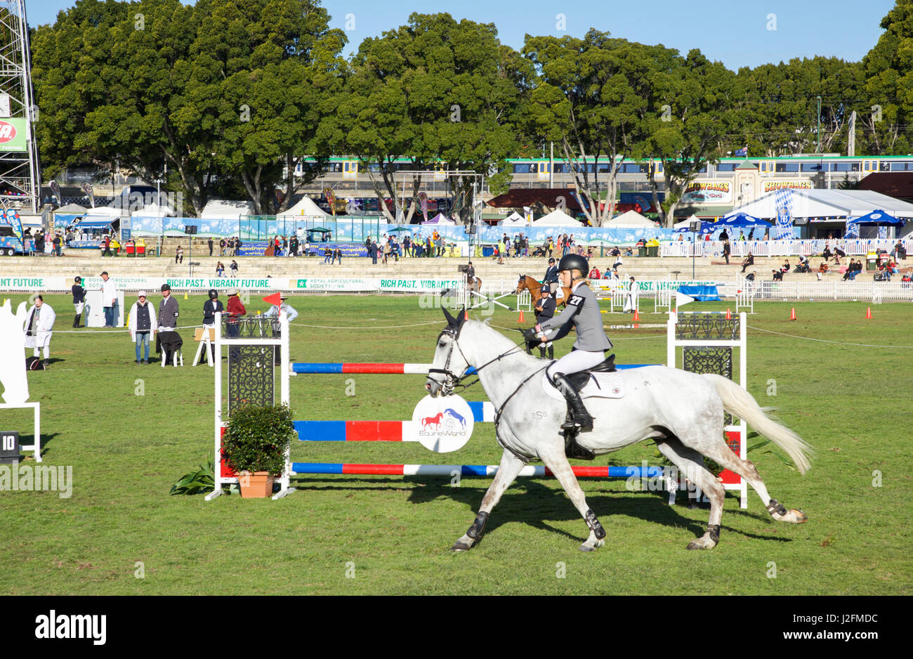Claremont,WA,Australia-September 25,2016:White horse with rider at the ...