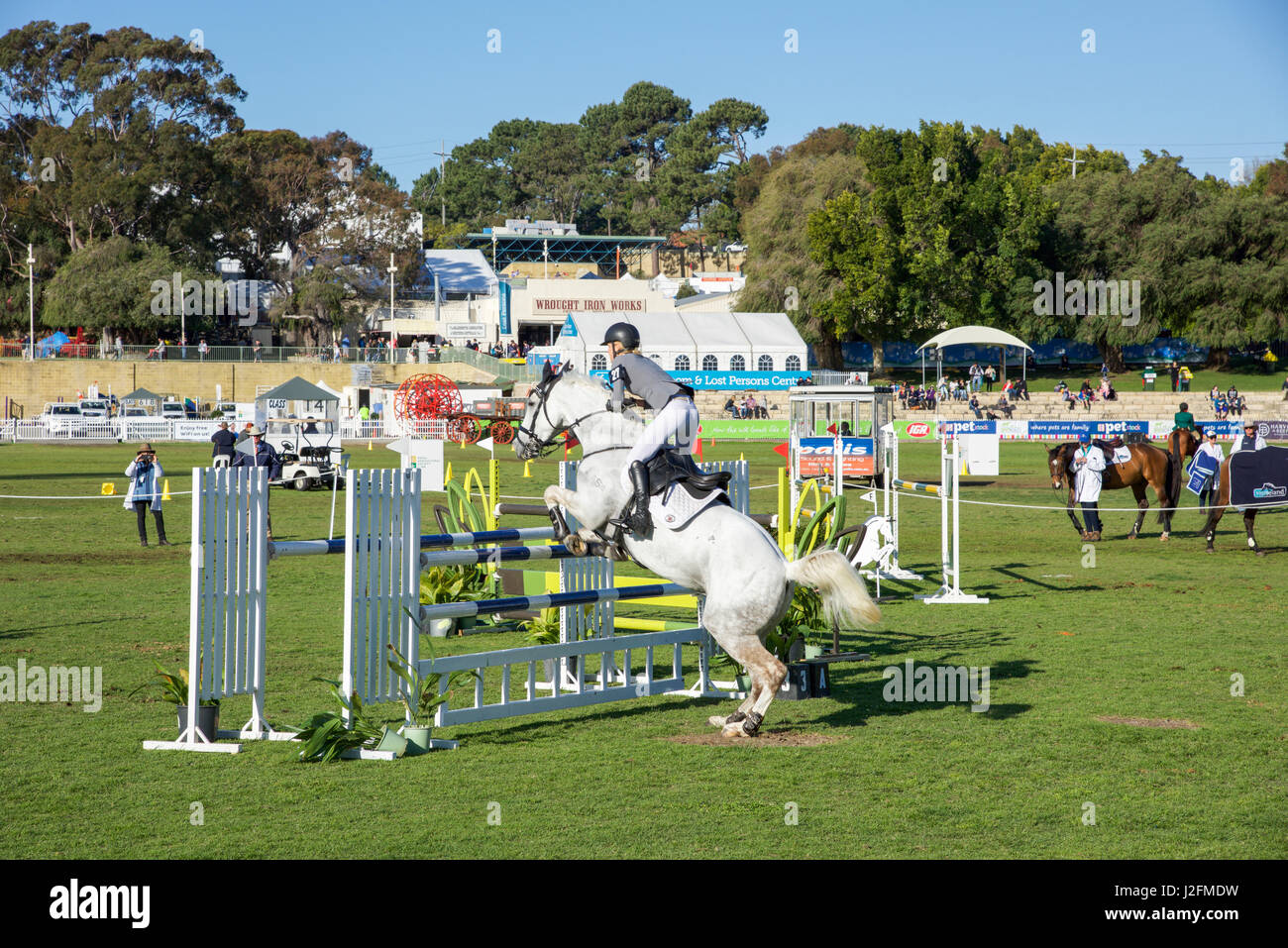 Claremont,WA,Australia-September 25,2016:White horse with rider at the ...