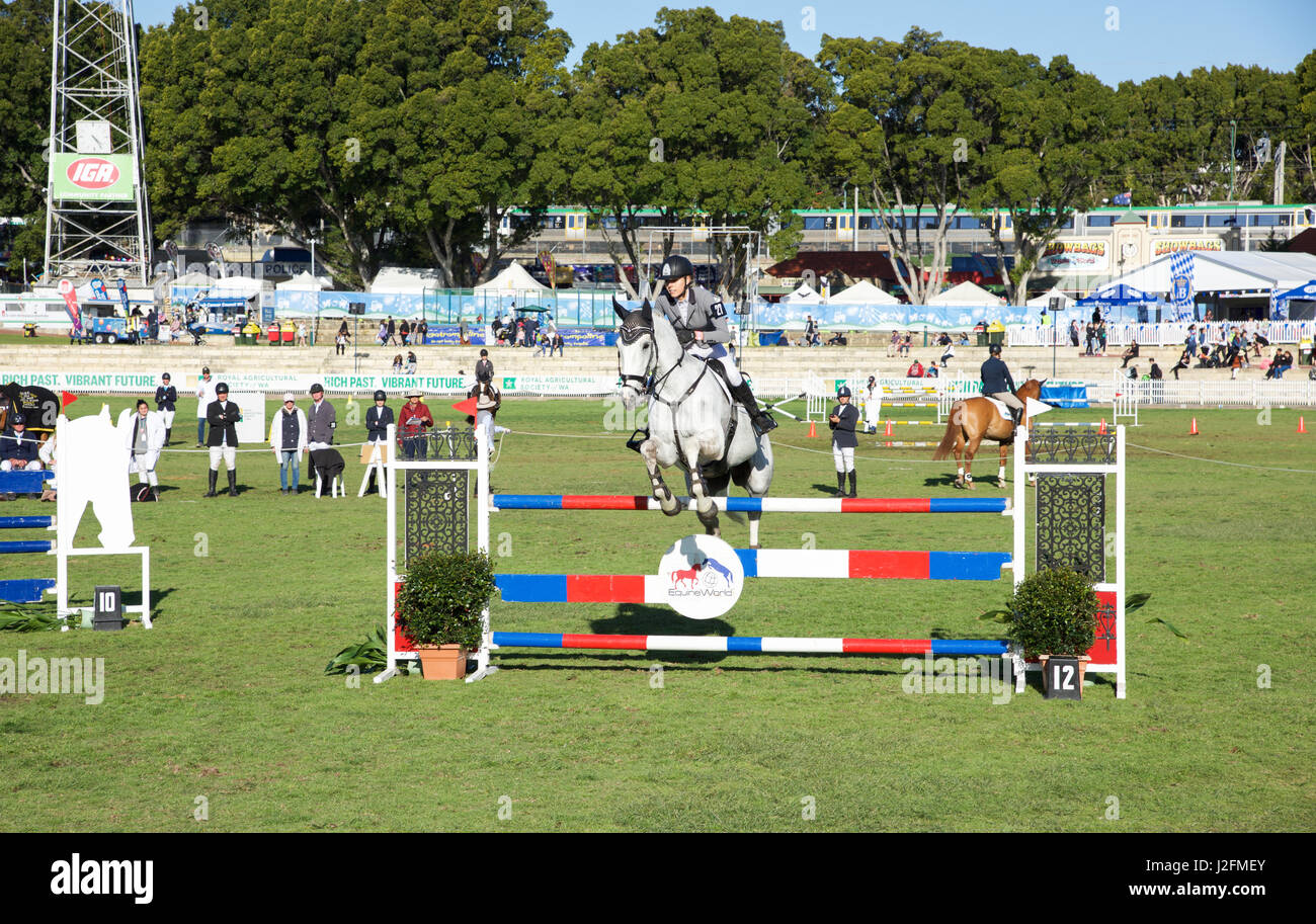 Claremont,WA,Australia-September 25,2016:White horse with rider at the ...