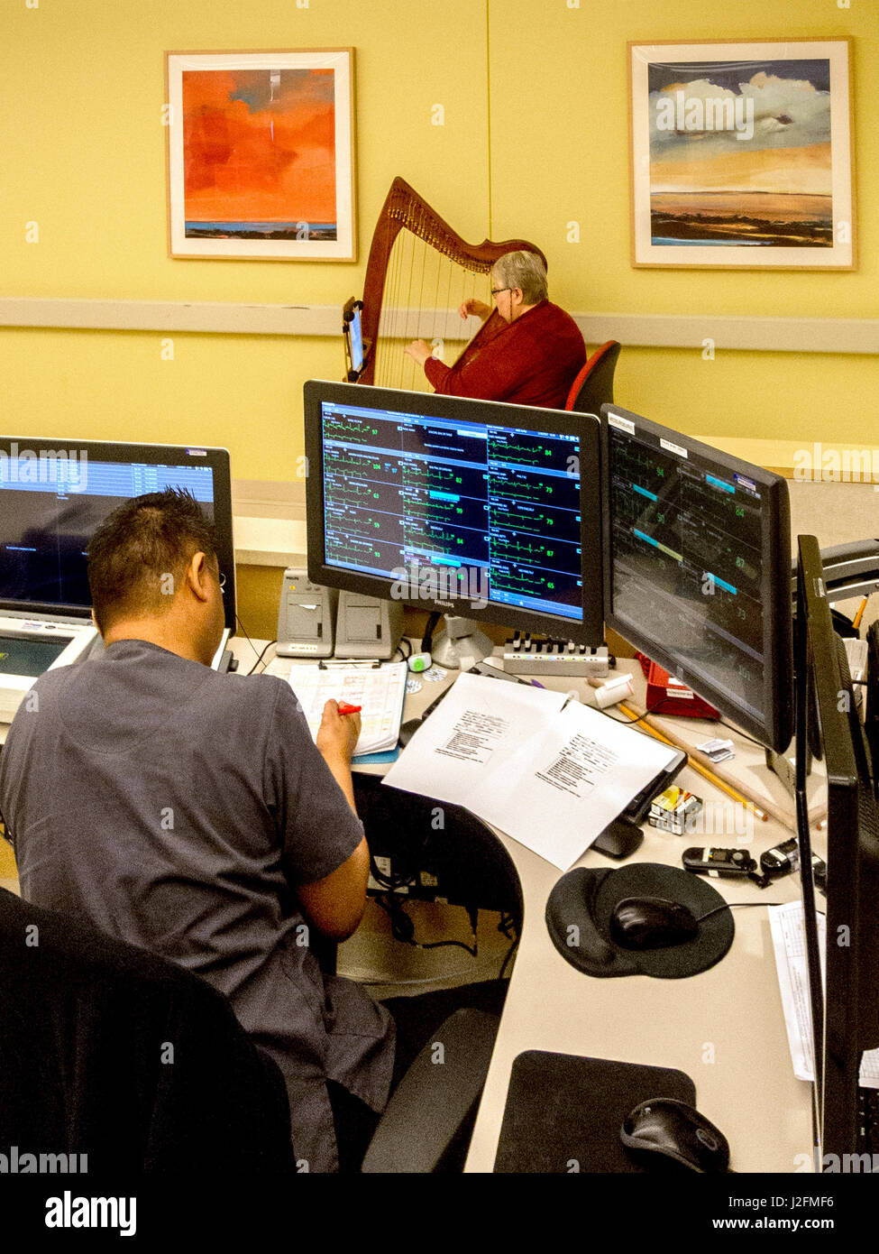 An senior woman musician plays the harp in the hallway of an Irvine, CA ...