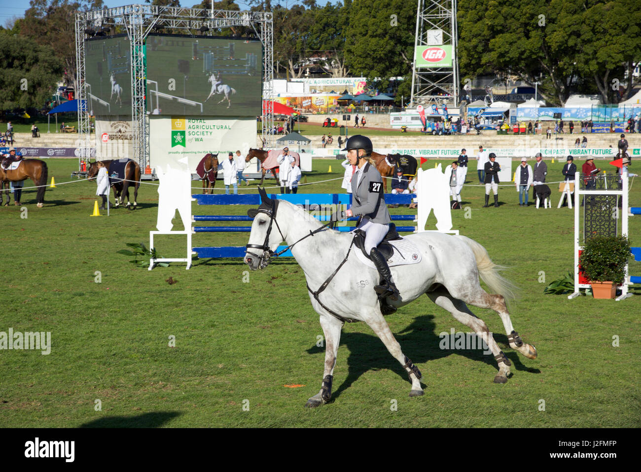 Rider jumping fence showjumping competition hi-res stock photography ...