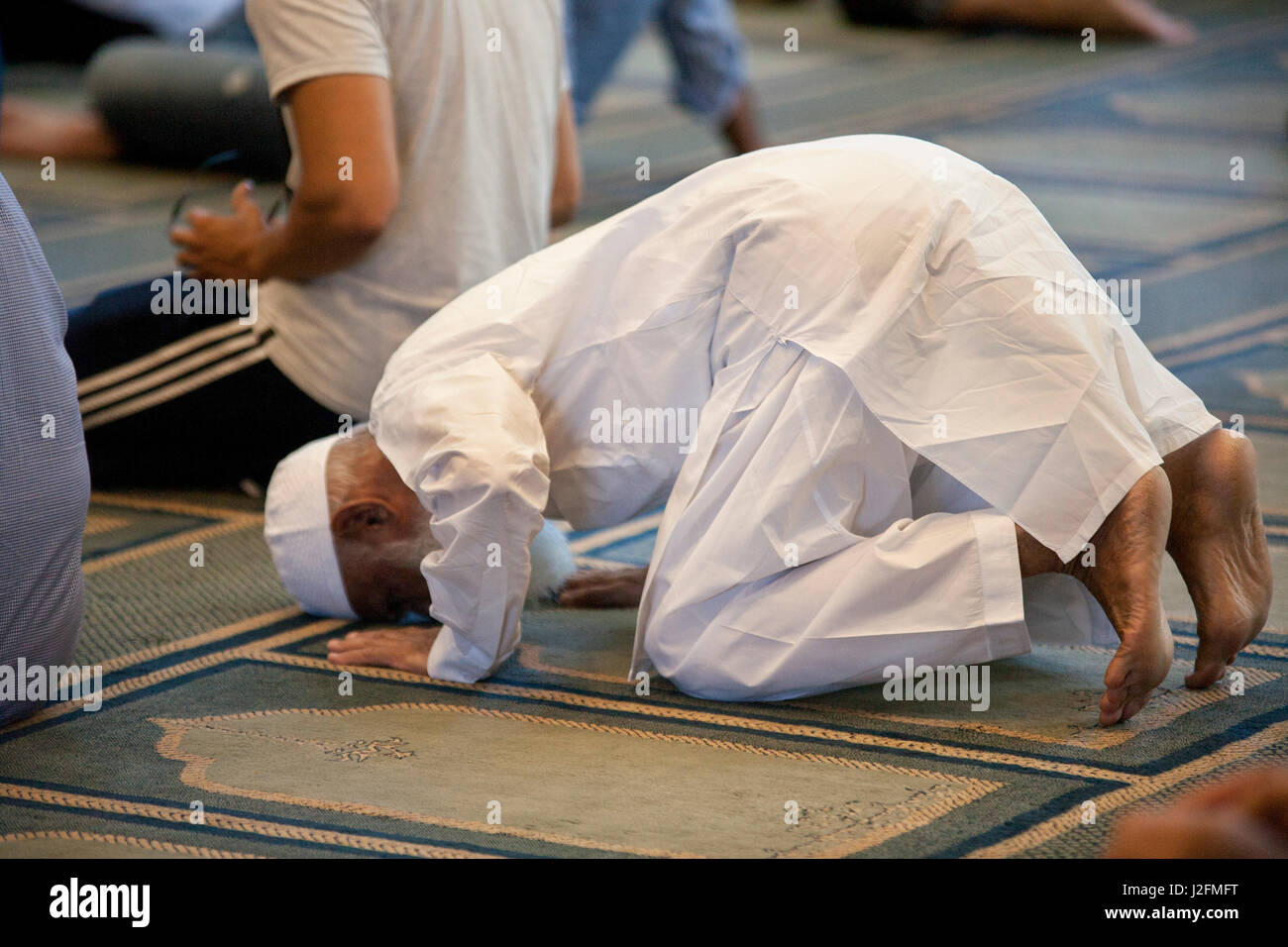 An elderly Middle Eastern American man in tradition dress prostrates ...
