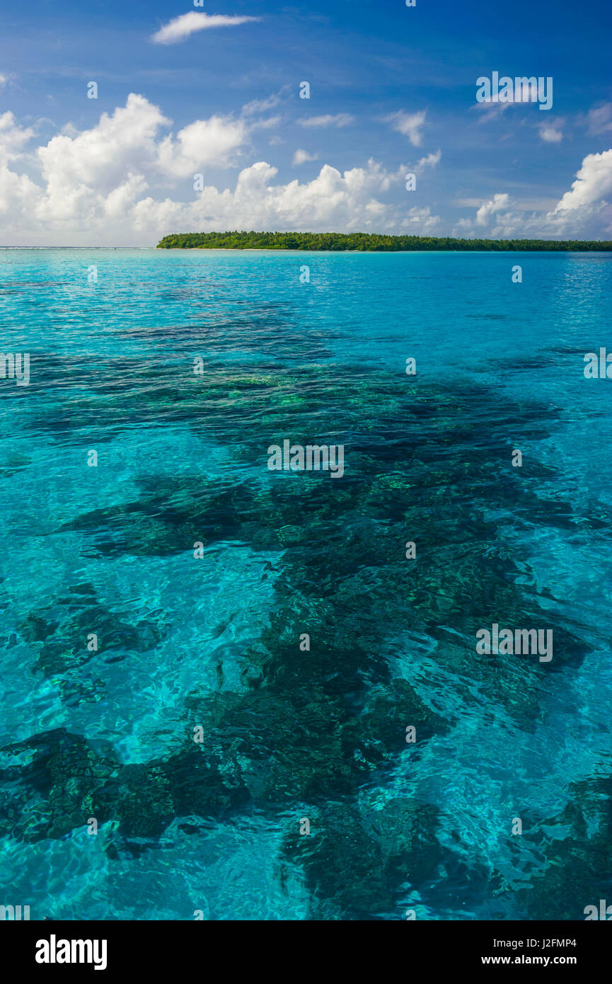 Beautiful turquoise water in the Ant Atoll, Pohnpei, Micronesia Stock ...