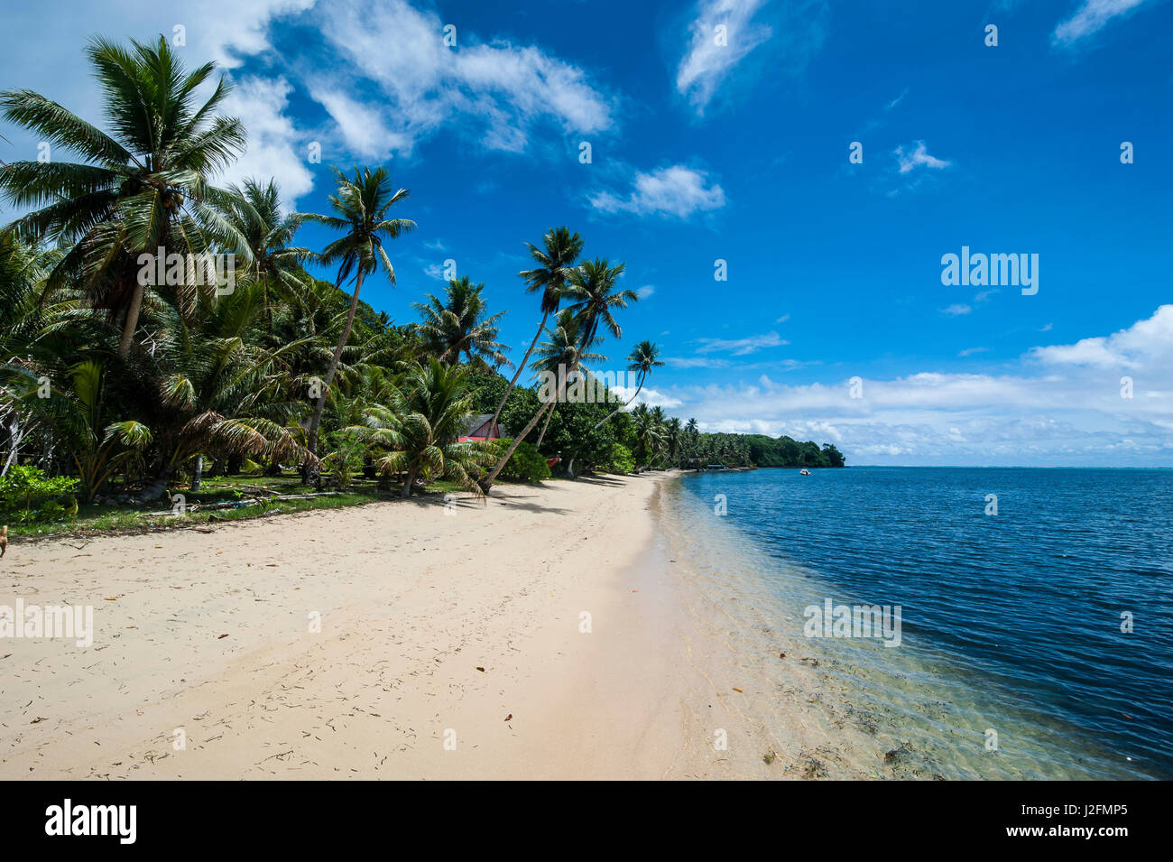 Beautiful white sand beach and palm trees on the island of Yap ...