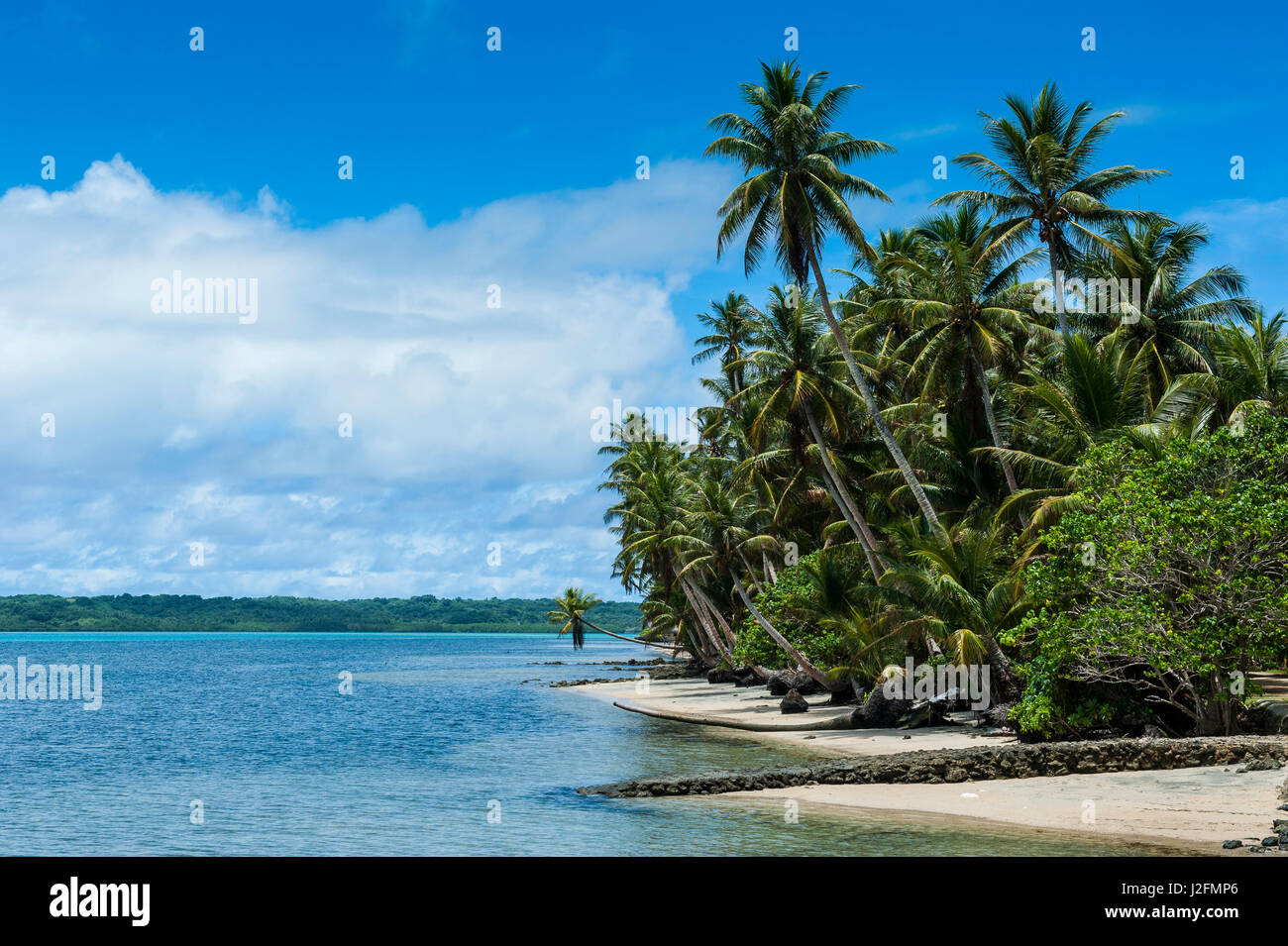 Beautiful white sand beach and palm trees on the island of Yap ...