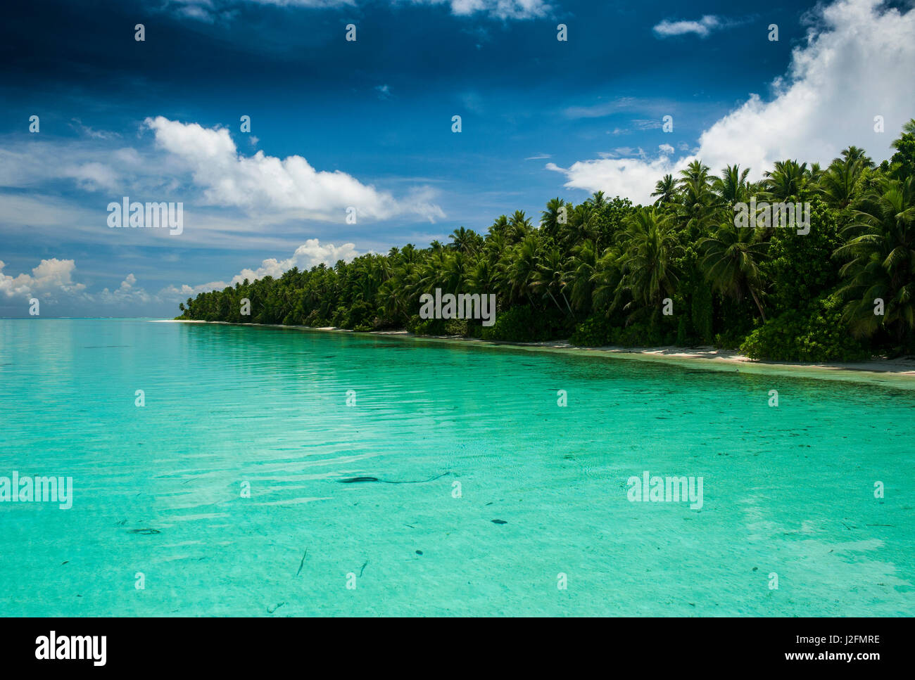 Little islet and turquoise water in the Ant Atoll, Pohnpei, Micronesia ...