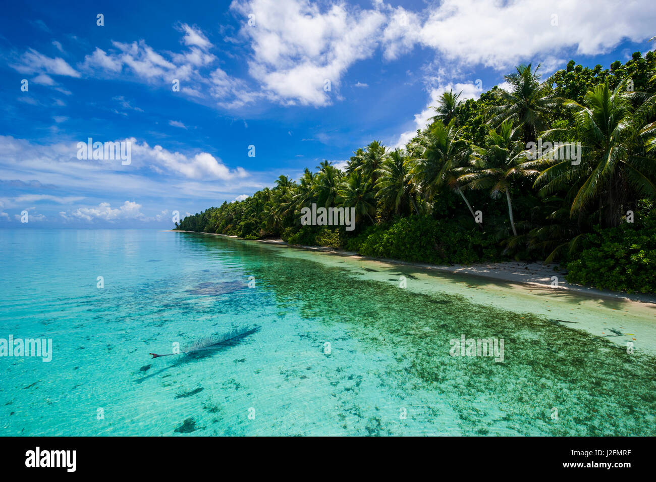 Little islet and turquoise water in the Ant Atoll, Pohnpei, Micronesia ...