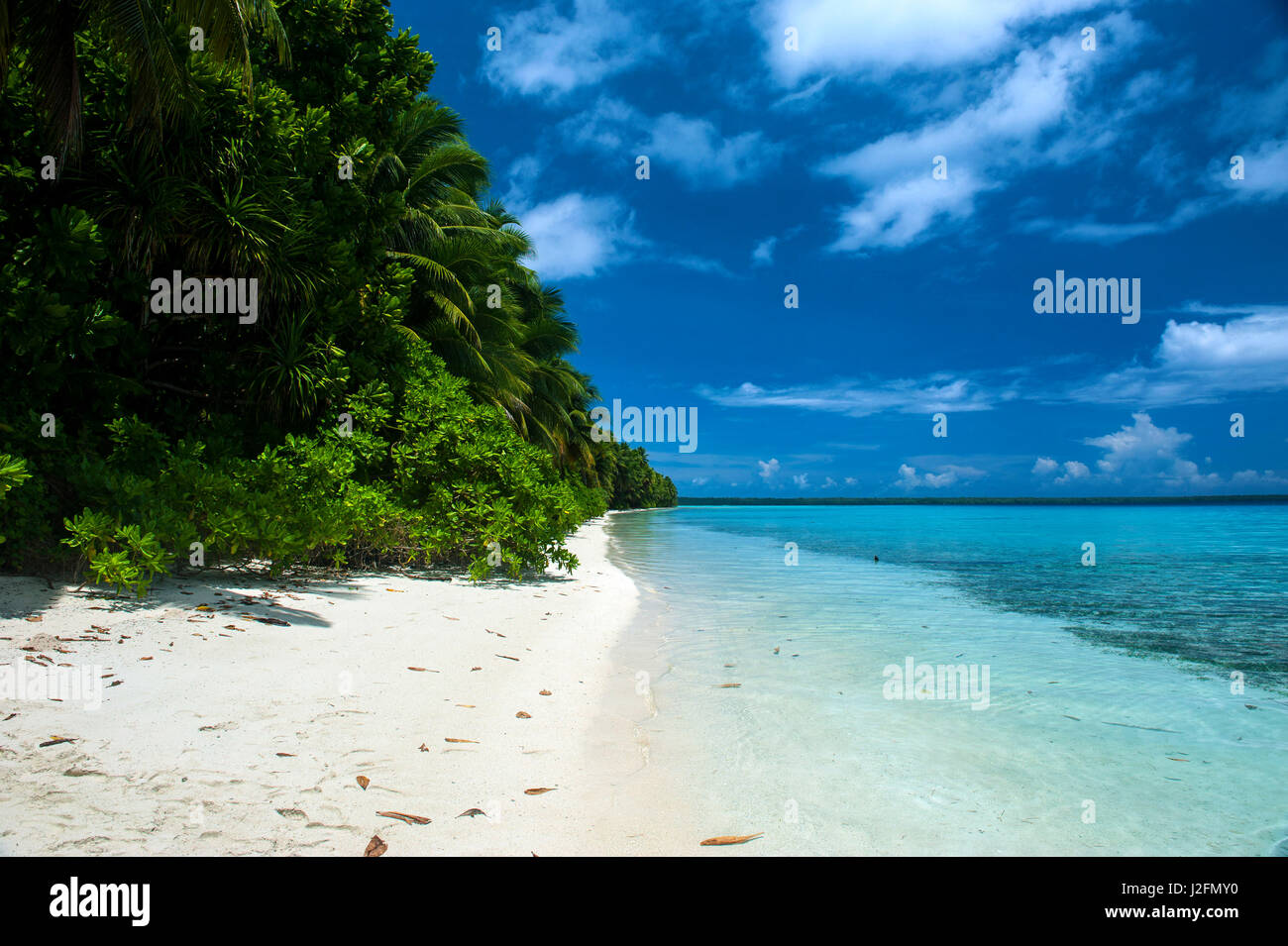 White sand beach in turquoise water in the Ant Atoll, Pohnpei ...