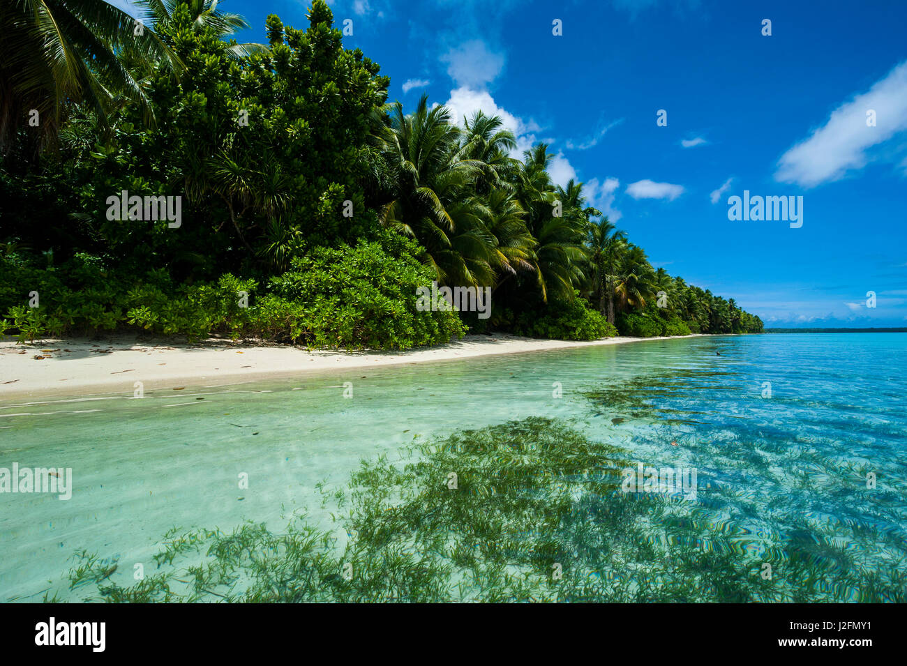 White sand beach in turquoise water in the Ant Atoll, Pohnpei ...