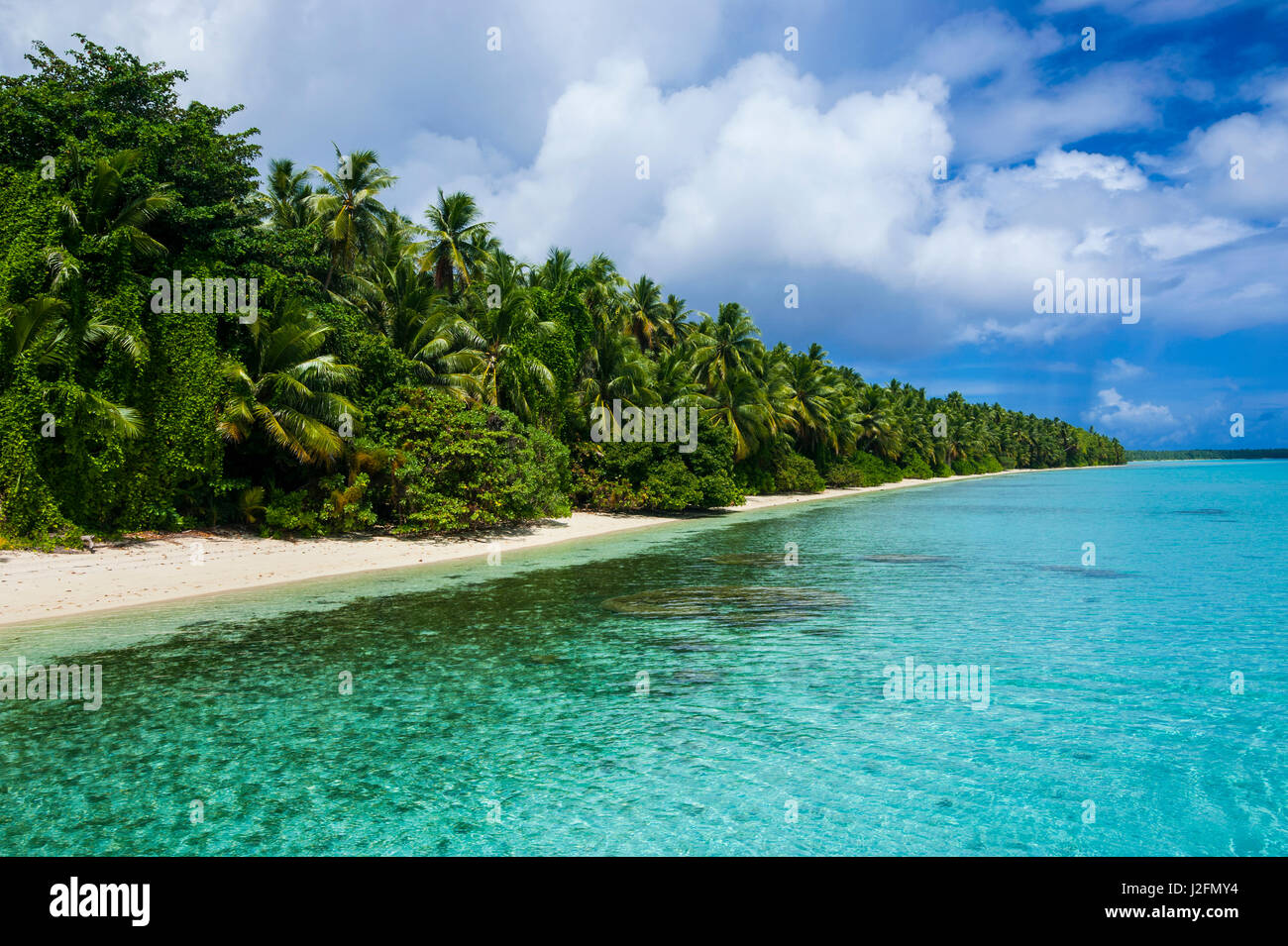 White sand beach in turquoise water in the Ant Atoll, Pohnpei ...