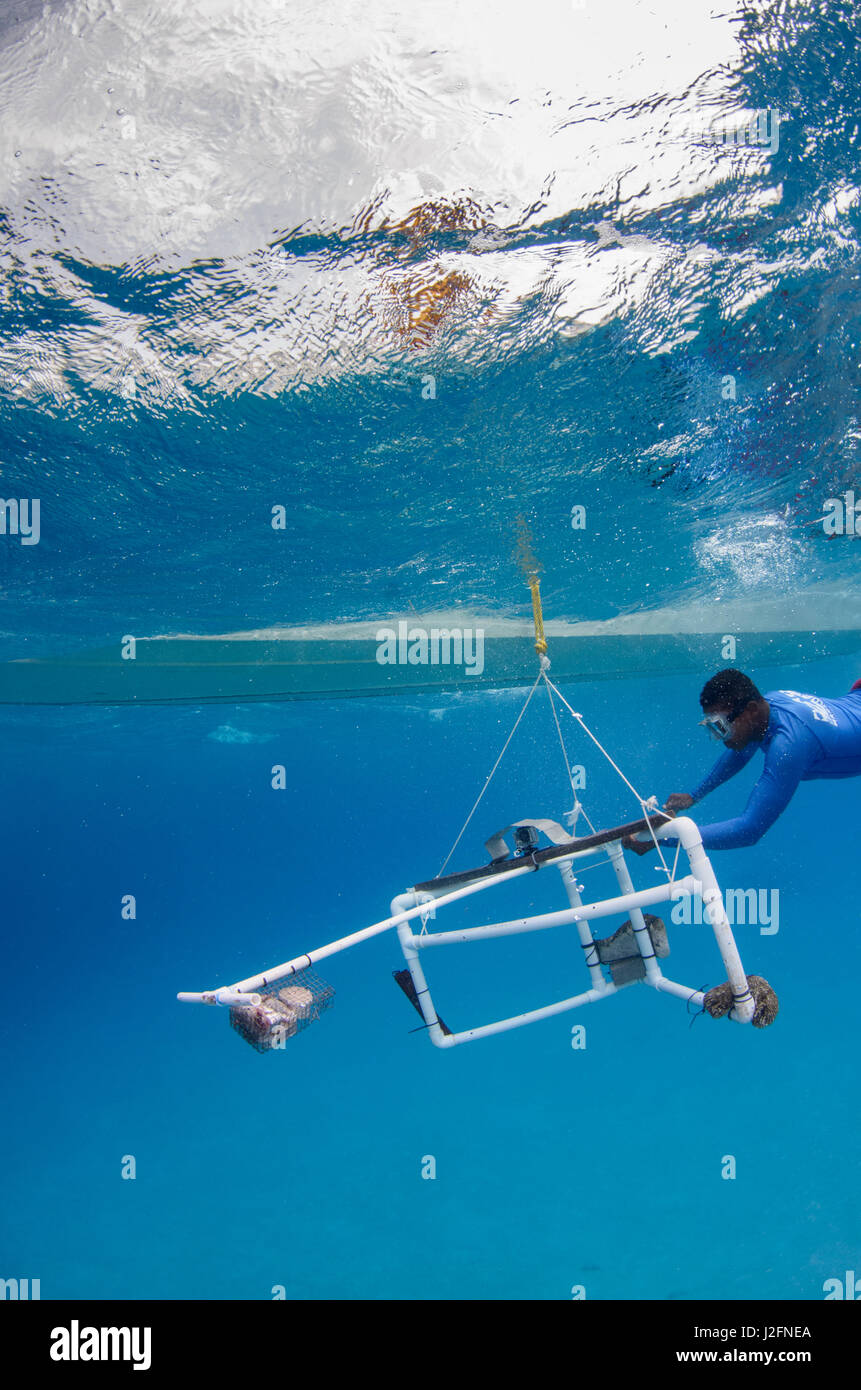 Bruv hi-res stock photography and images - Alamy