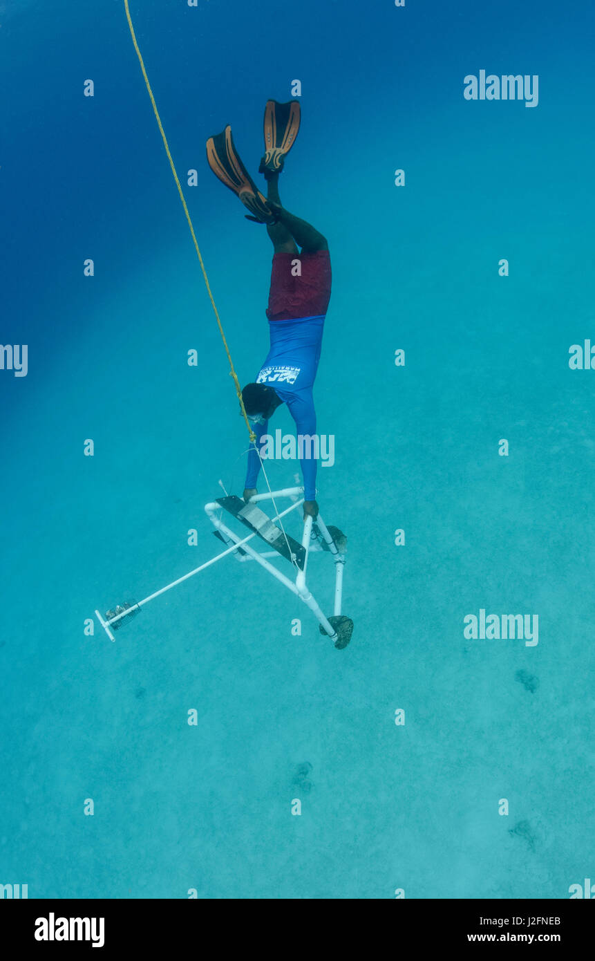 BRUV (Baited remote underwater video) monitoring research of large ...