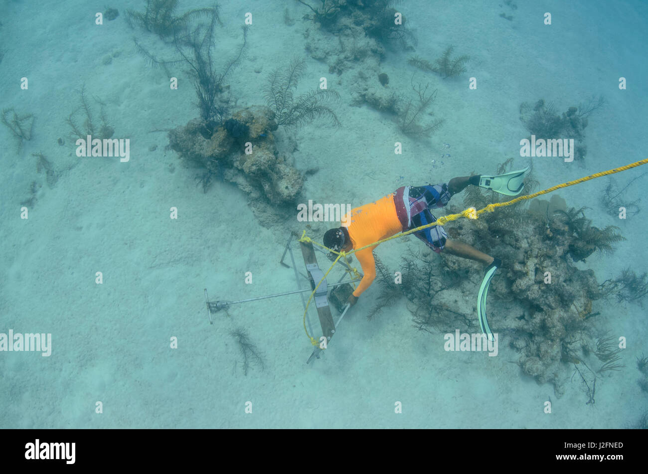 BRUV (Baited remote underwater video) monitoring research of large ...
