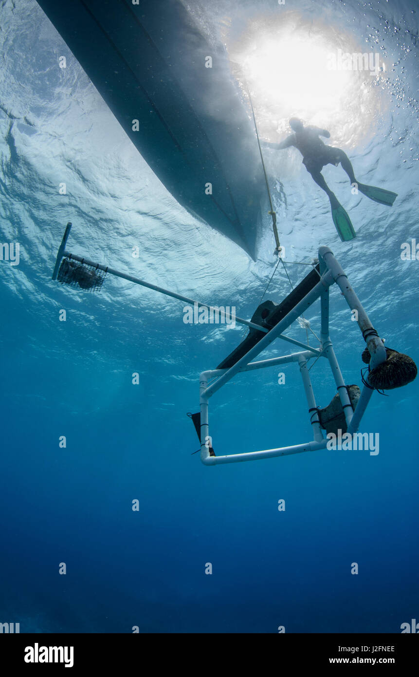 BRUV (Baited remote underwater video) monitoring research of large ...