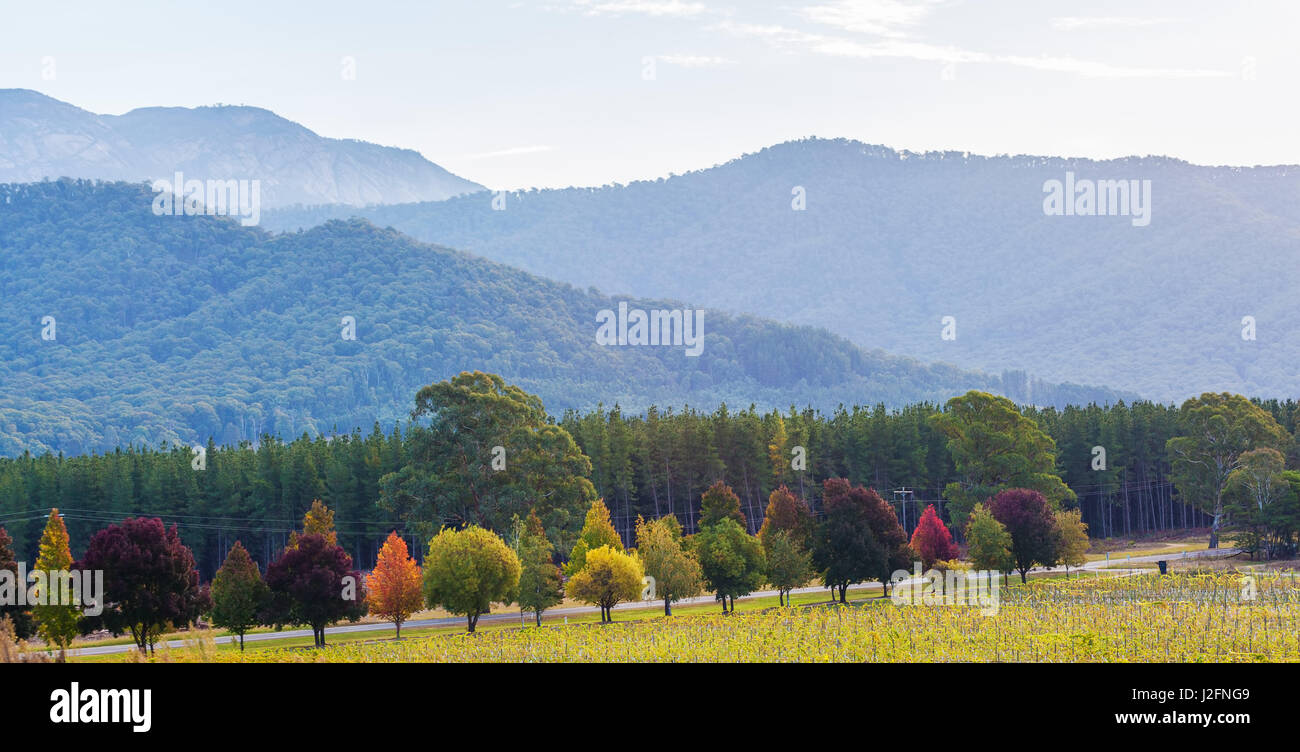 Australia landscape autumn colors in hi-res stock photography and ...