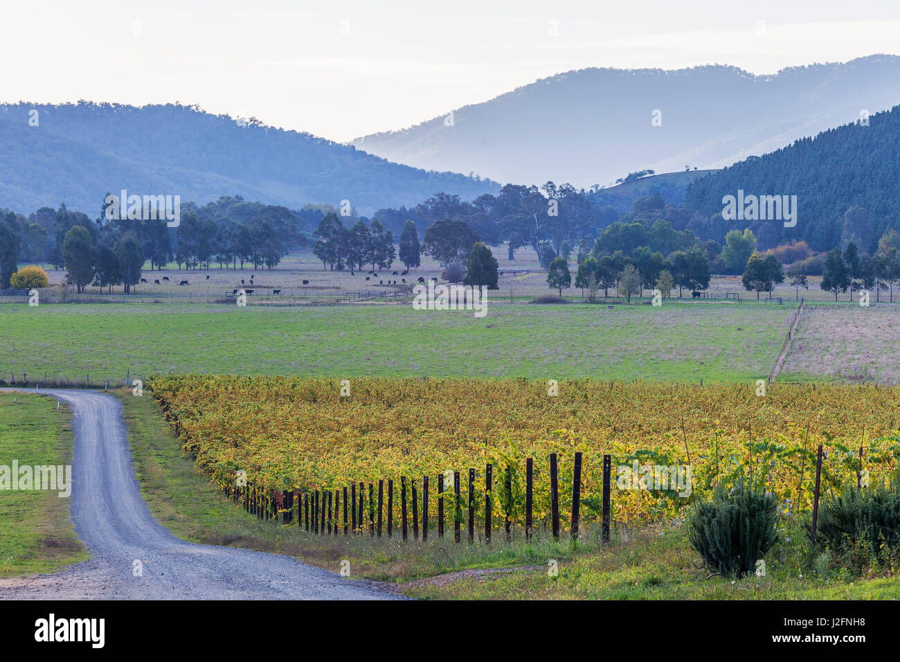 Australian farm scene hi-res stock photography and images - Alamy