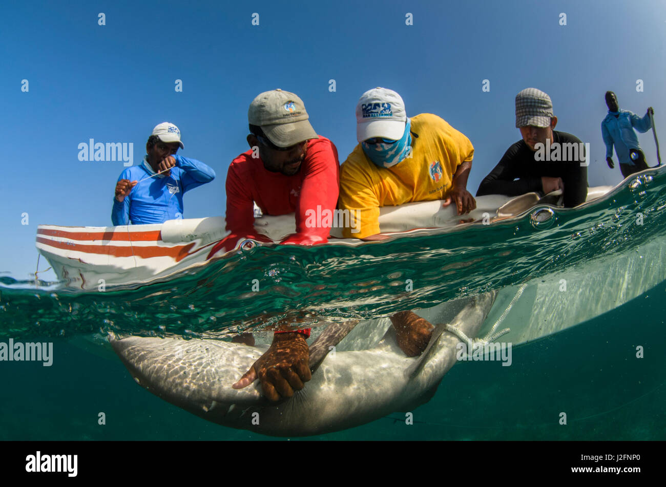 Muschamp High Resolution Stock Photography and Images - Alamy