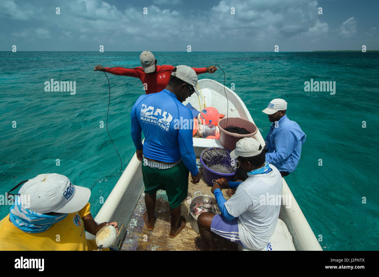 Setting long lines for Shark capture for Population and Mercury level ...