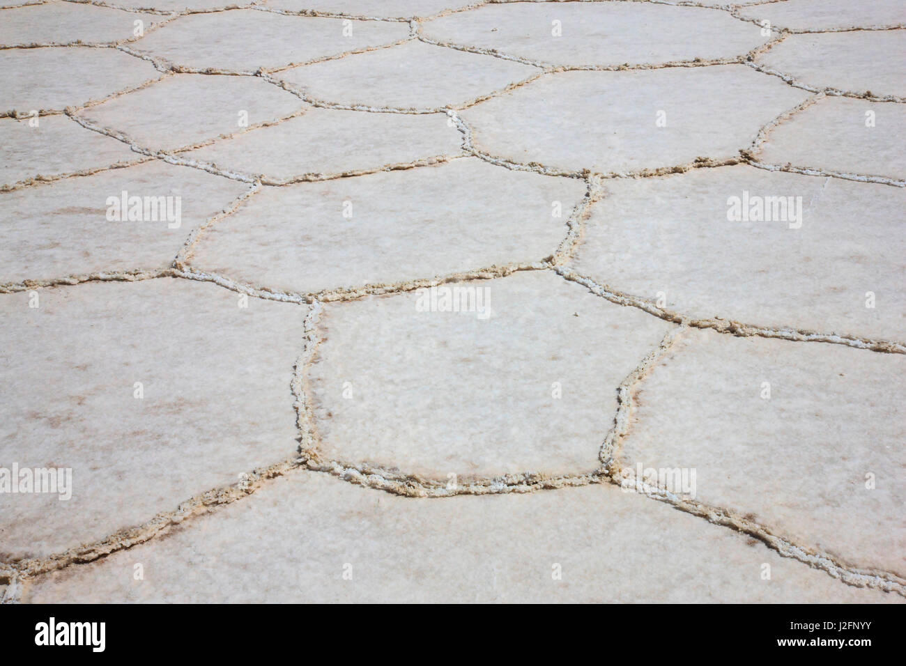 Located on the largest salt flats in the world, Jujuy in Bolivia, these ...