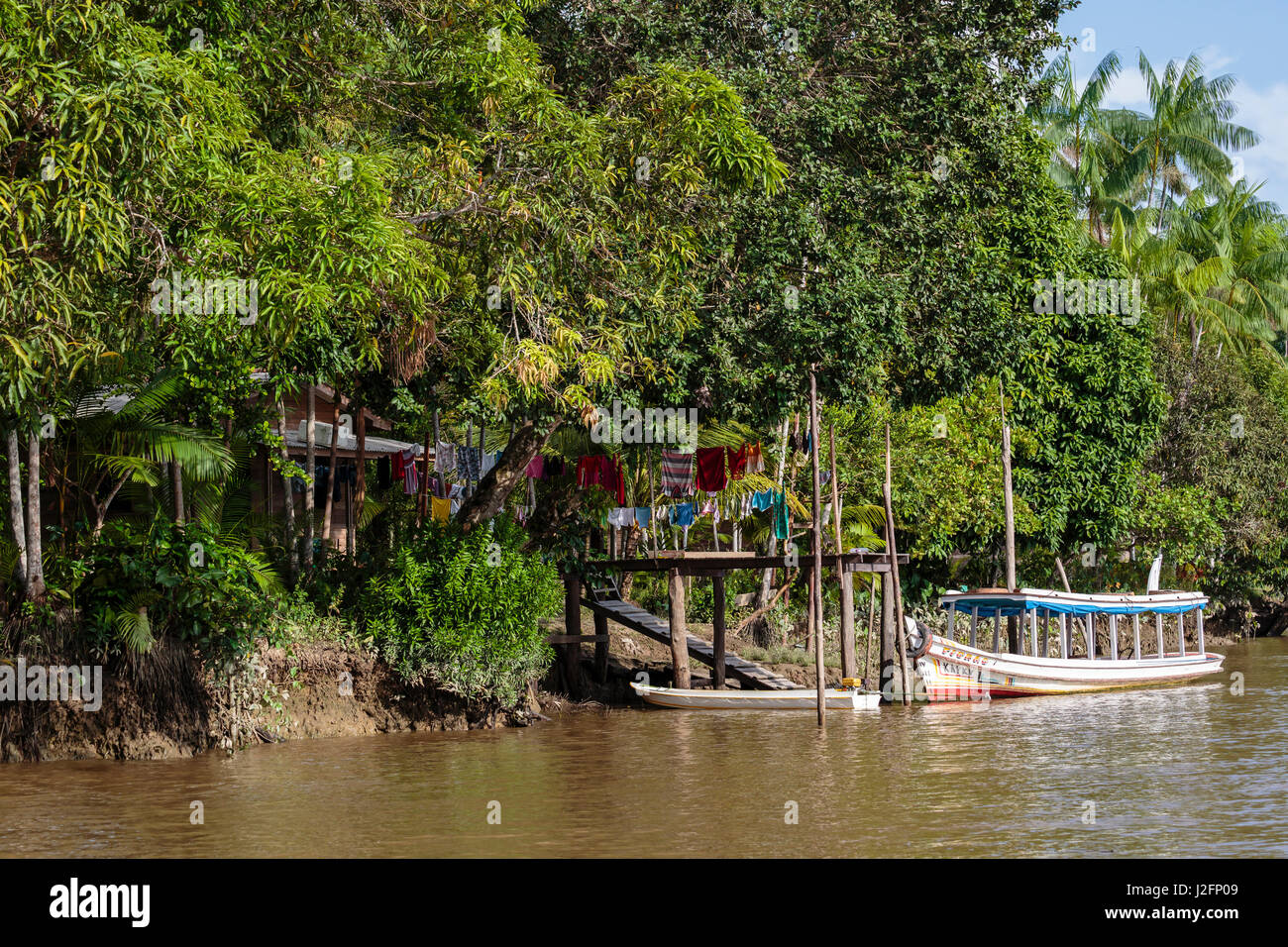 South America, Brazil, Amazon River. View of laundry hanging on dock ...