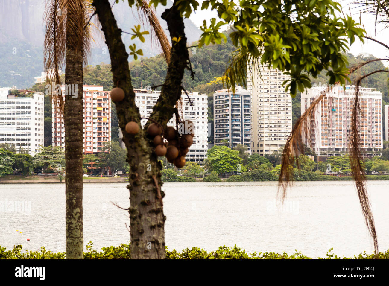 South America, Brazil, Rio de Janeiro. View of modern structures by ...