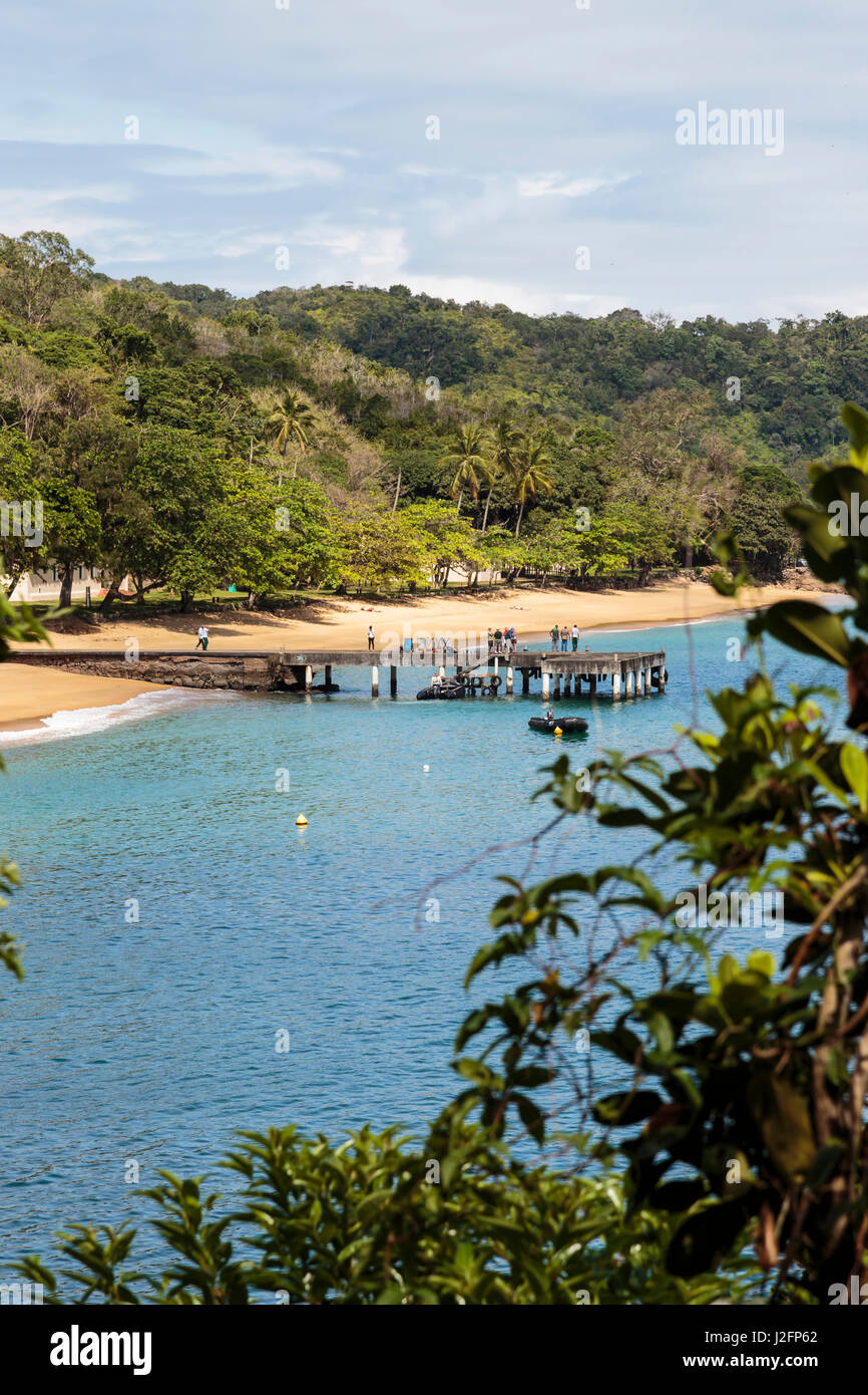 South America, Brazil, Ilha Anchieta. View of dock from trees Stock ...